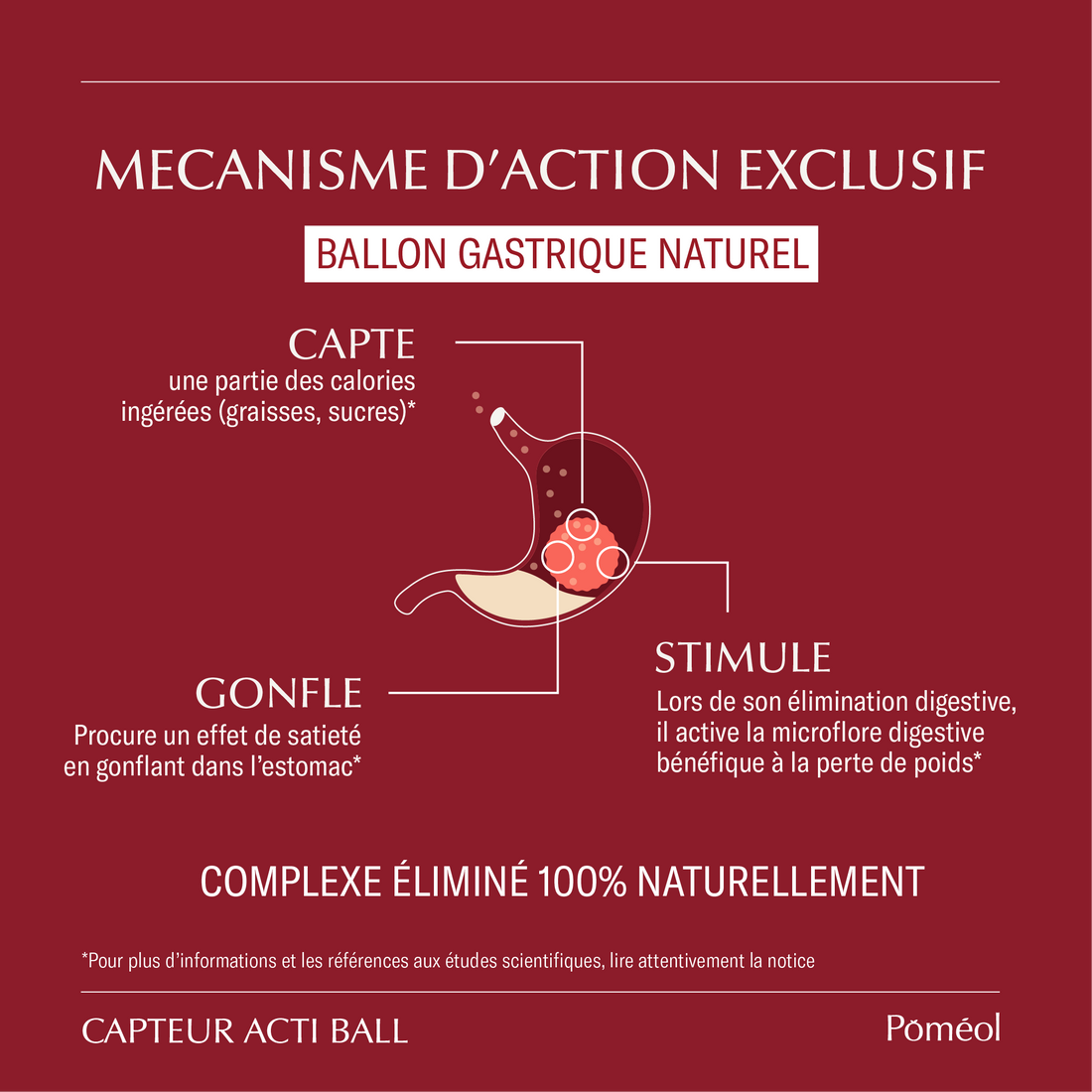 Gélules Minceur - Ballon Gastrique - Capteur Acti Ball